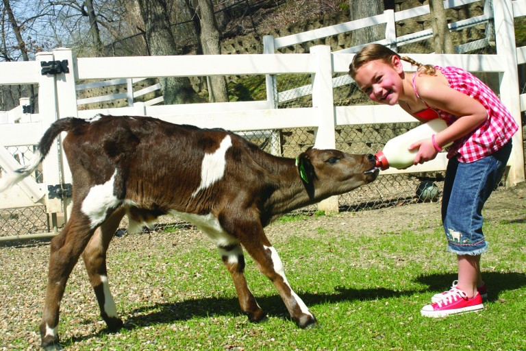 Old MacDonald's Farm, Bever Park | Cedar Rapids Tourism
