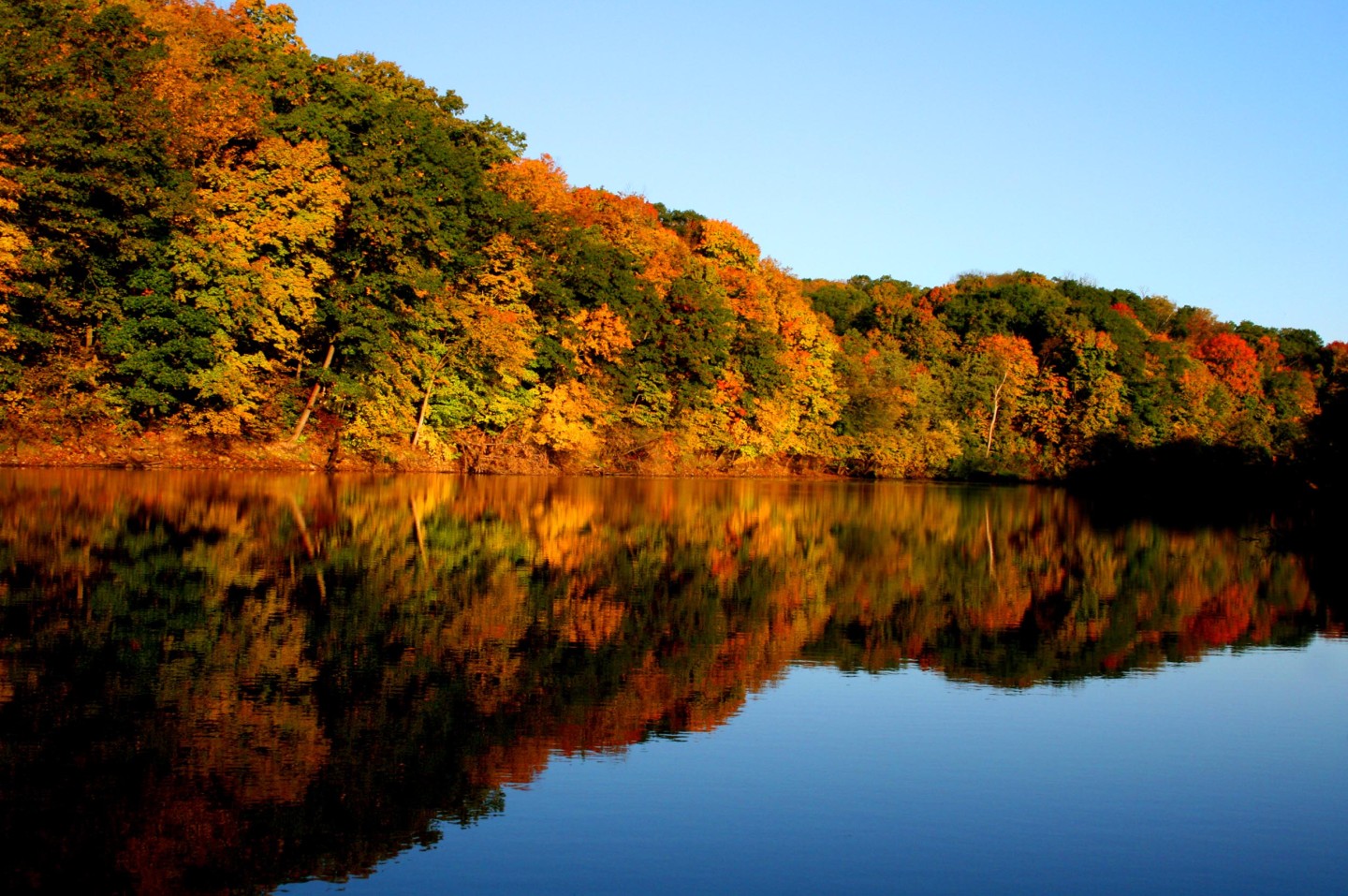 Pinicon Ridge Park | Cedar Rapids Tourism