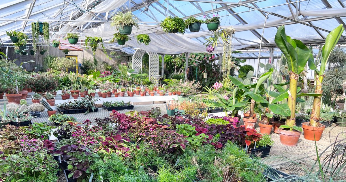 Noelridge Park and Greenhouse | Cedar Rapids Tourism